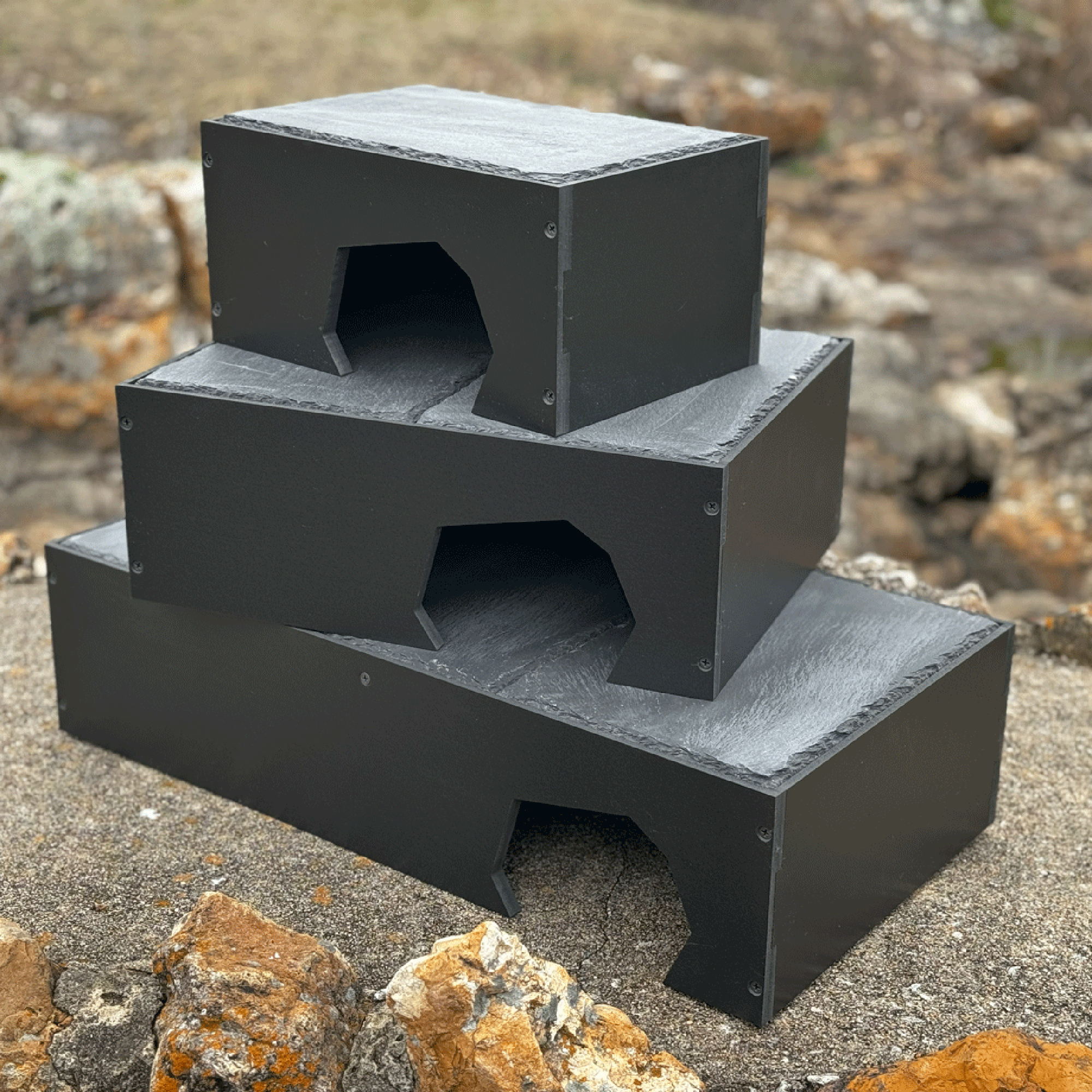 Reptile Basking Platform & Hides – Toad Ranch