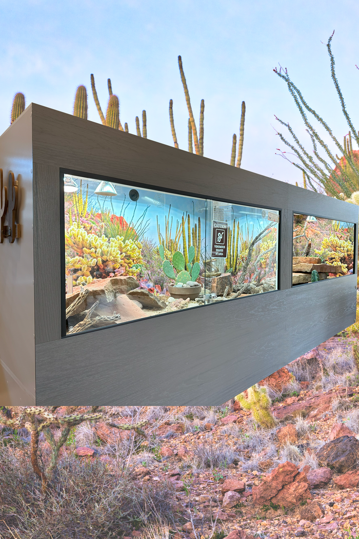 Custom Luxury Reptile Enclosures & Habitats | Toad Ranch USA