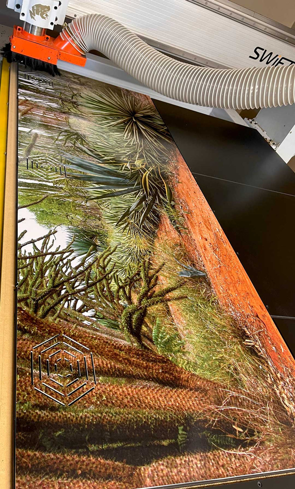 Madagascar- Spiny Forest | Reptile Enclosure Backgrounds – Toad Ranch